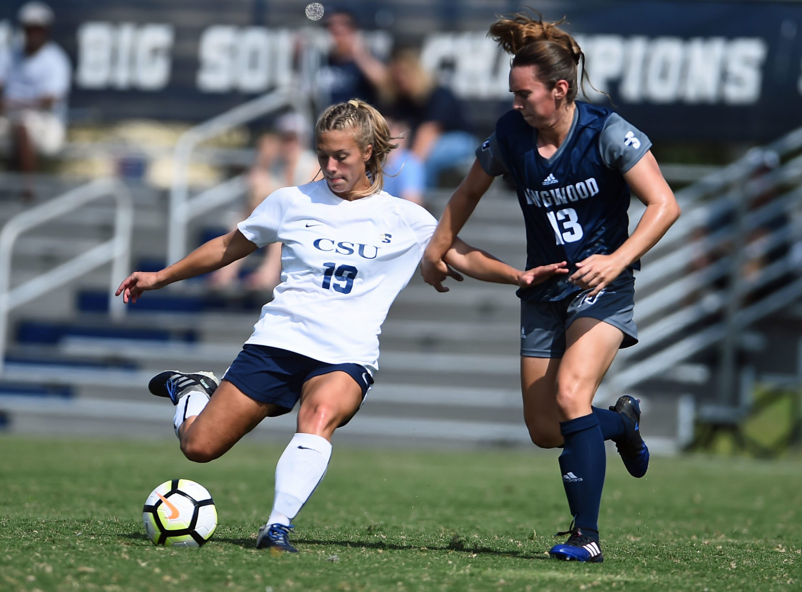 At a Glance | CSU